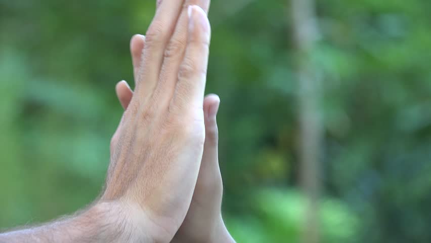 High 5, Hand Slap Stock Footage Video (100% Royalty-free) 8846080 ...