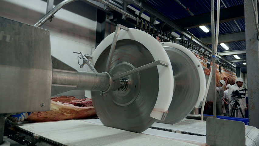 Meat Processing Plant Conveyor Butchering Stock Footage Video (100% ...