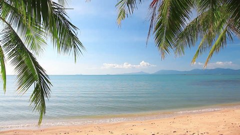 Tropical Beach Palm Tree Stock Footage Video (100% Royalty-free ...