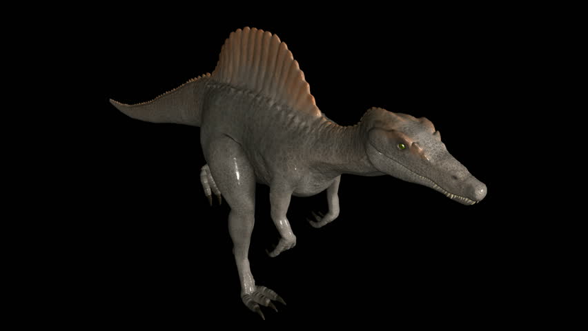 looping dinosaur spinosaurus run animation isolated Stock Footage Video ...
