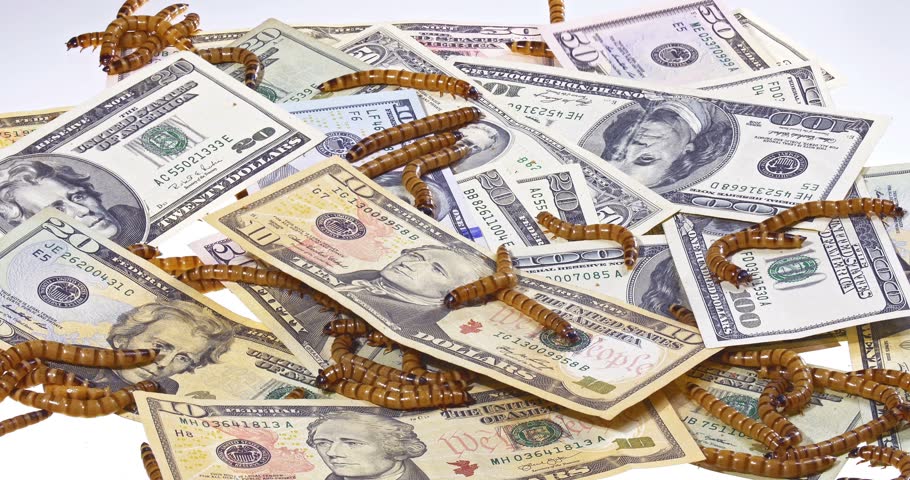 Economic Crisis Concept with Money Stock Footage Video (100% Royalty ...