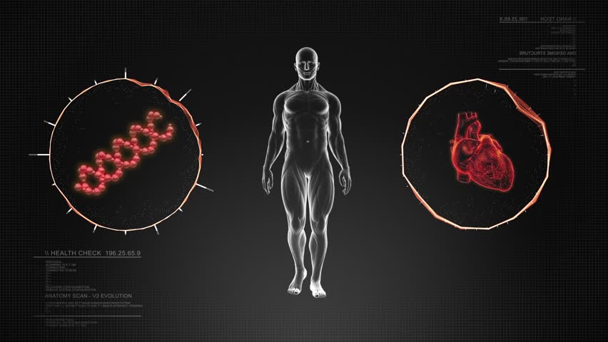 advanced human anatomy walking technological interface Stock Footage ...