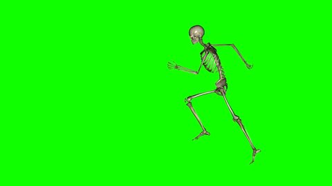 Green Screen Skeleton Going Run Tracking Stock Footage Video (100% ...
