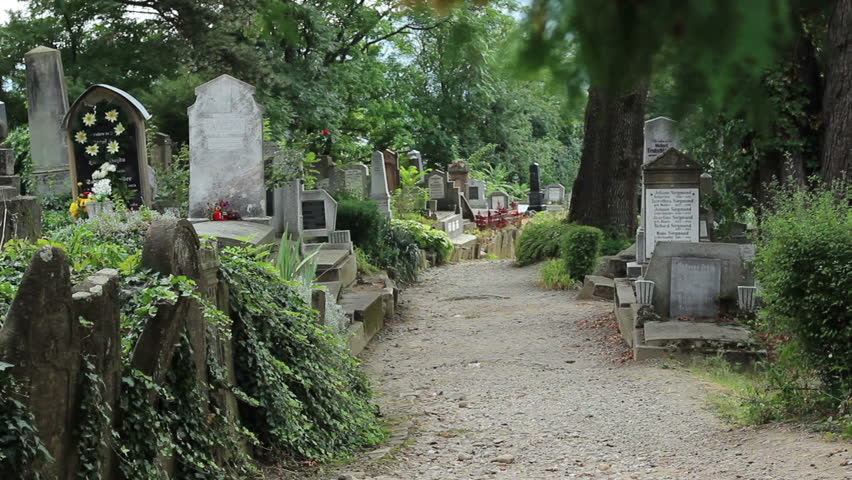 girl study takes pictures tombstones old Stock Footage Video (100% ...