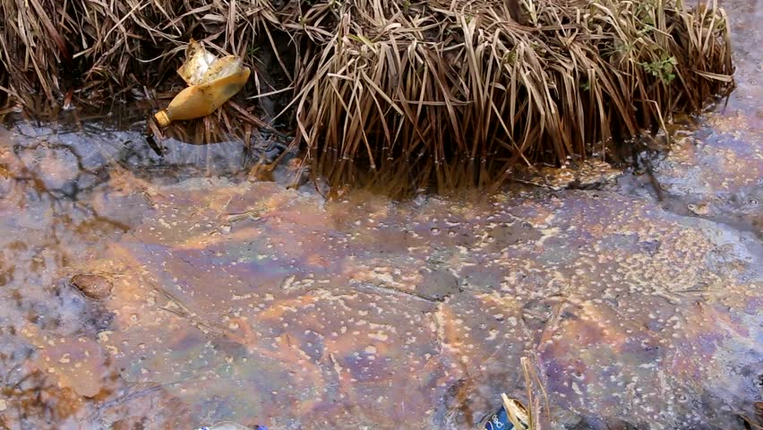 Water Pollution. Natural Disaster. Nature Stock Footage Video (100% ...