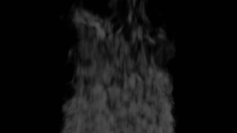 Animated Realistic Smoke On Transparent Background Stock Footage Video ...