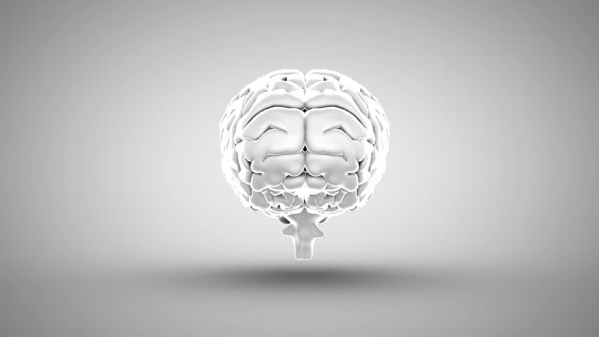 digital animation brain spinning on white Stock Footage Video (100% ...