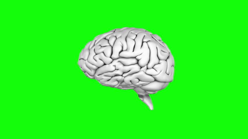 green screen animation brain light bulb: วิดีโอสต็อก (ปลอดค่าลิขสิทธิ์ ...