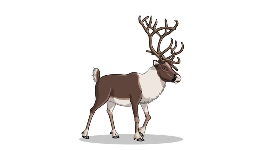 Reindeer- a Seamless Animation Loop Stock Footage Video (100% Royalty ...