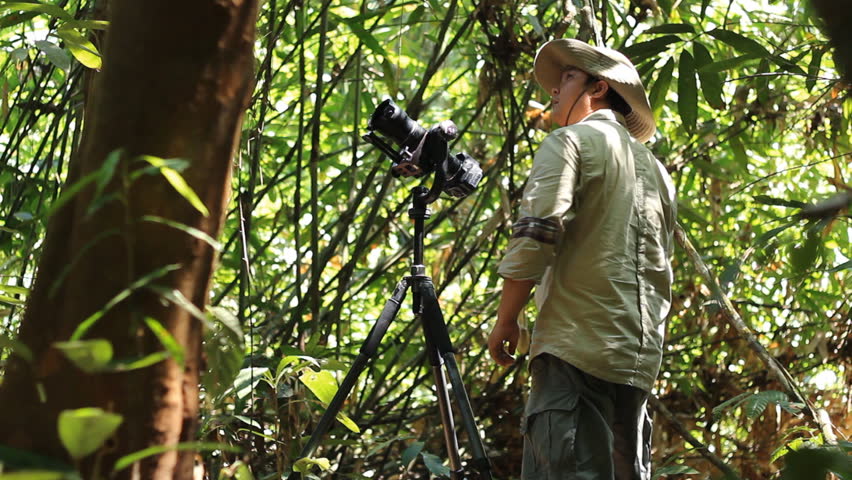 Wildlife Photographer Taking Picture of Stock Footage Video (100% ...