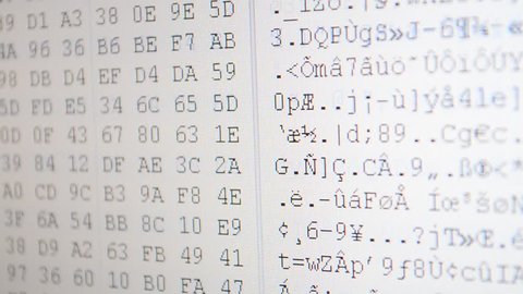 Hexadecimal Program Code On Screen Animated Stock Footage Video (100% ...