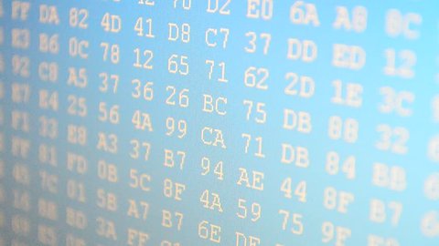 Hexadecimal Program Code On Screen Animated Stock Footage Video (100% ...