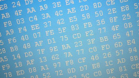 Hexadecimal Program Code On Screen Animated Stock Footage Video (100% Royalty-free) 9252002 ...