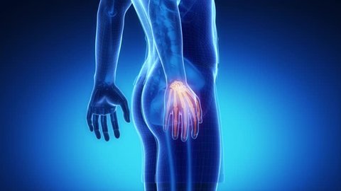 Wrist Bone Skeleton Xray Scan Blue Stock Footage Video (100% Royalty ...