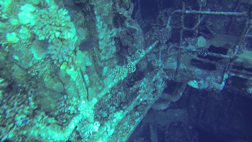 inside sunken ship red sea Stock Footage Video (100% Royalty-free ...