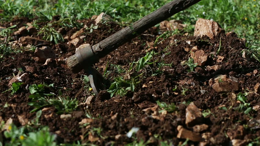 lifting turning over soil using garden Stock Footage Video (100% ...