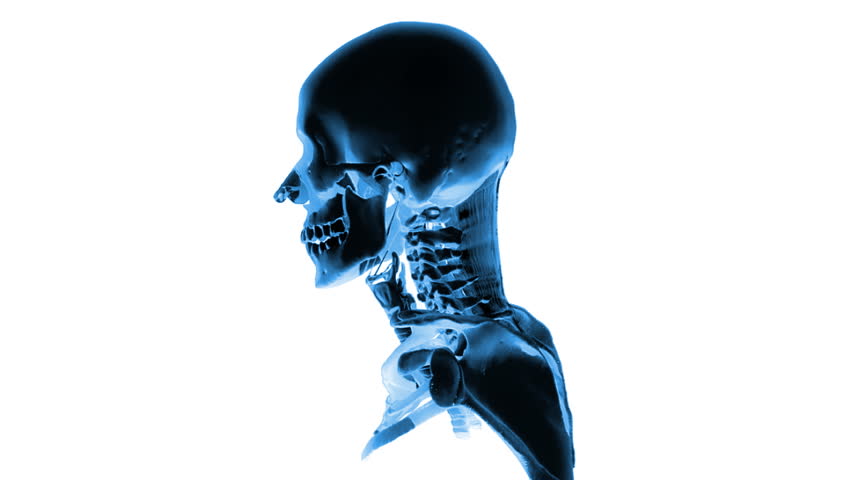 rotating medical skull Stock Footage Video (100% Royalty-free) 937423 ...