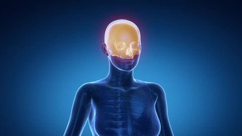 Cranium Bone Skeleton Xray Scan Blue Stock Footage Video (100% Royalty ...