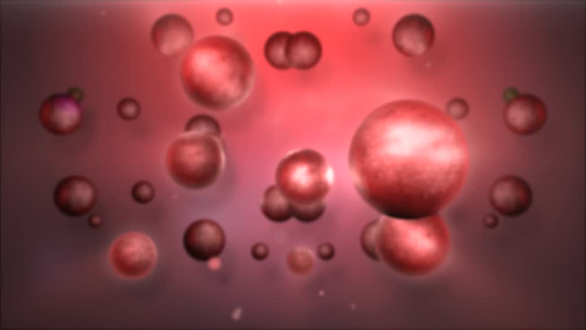 Red Blood Cells Animation Stock Footage Video (100% Royalty-free ...