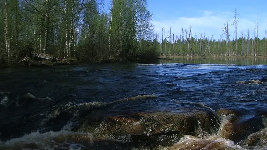 Rushing River Water Stream Video Stock Footage Video (100% Royalty-free ...