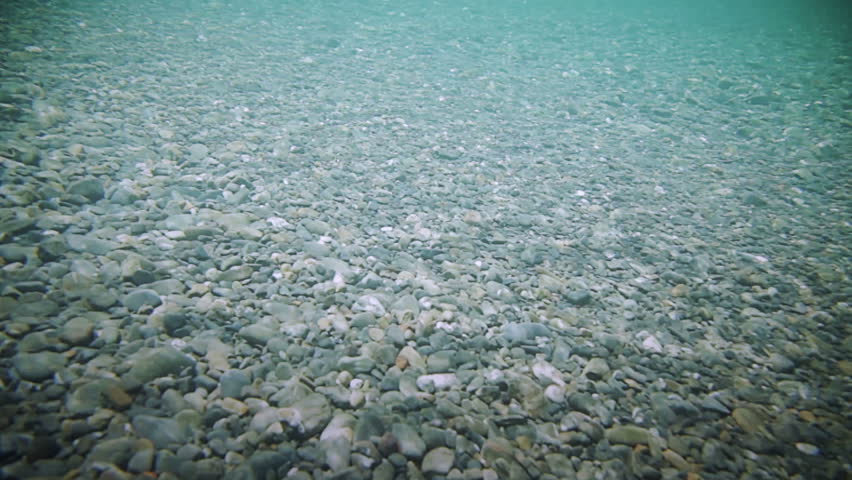 underwater footage super clear river bottom Stock Footage Video (100% ...