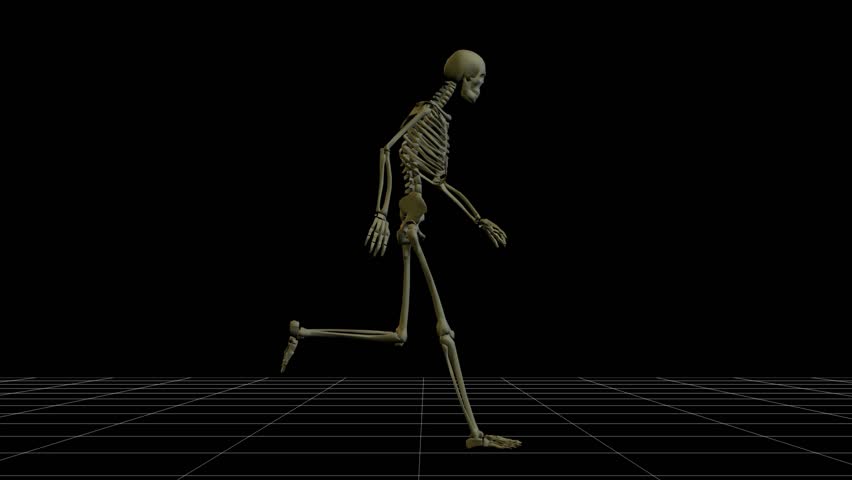 Skeleton Running Stock Footage Video (100% Royalty-free) 947233 ...