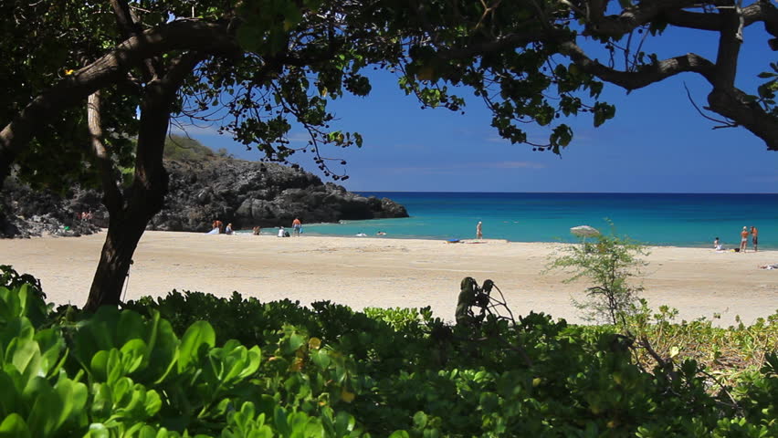 Tropical Beach Through Foliage Stock Footage Video (100% Royalty-free ...