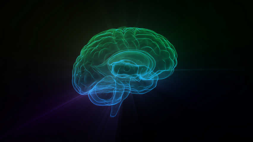 spinning human brain zones lighting up Stock Footage Video (100% ...