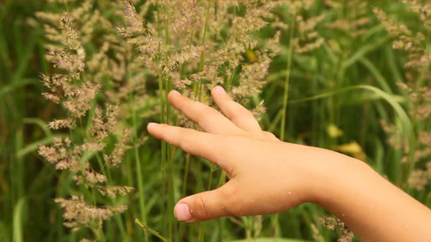 Child is Touching Grass Hot Stock Footage Video (100% Royalty-free ...
