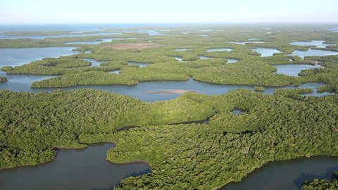 Ten Thousand Islands Everglades National Park Stock Footage Video (100% ...