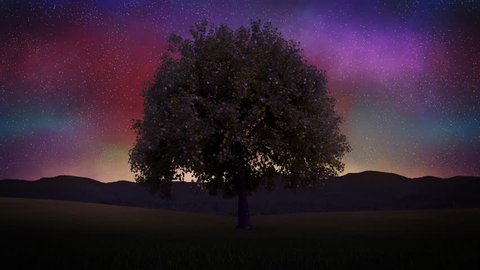 old oak trees milky way Stock Footage Video (100% Royalty-free) 2800843 ...
