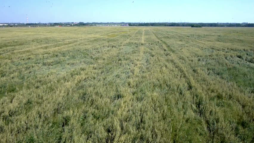 Grass Field Landscape. Rural Aerial Stock Footage Video (100% Royalty ...