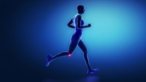 Runner Patella Animation Stock Footage Video (100% Royalty-free ...