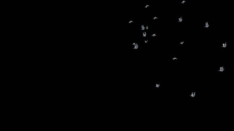 Bucket Filling Yellow Driving Range Golf Stock Footage Video (100% ...