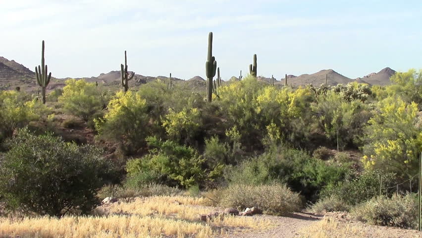 The Lost Dutchman Mine, located in the Superstition Mountains in Apache ...