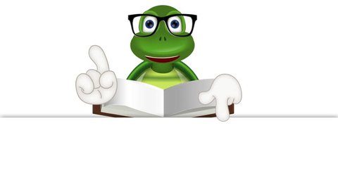 Turtle Teacher Pupil Learning School Preschool Stock Footage Video (100 ...