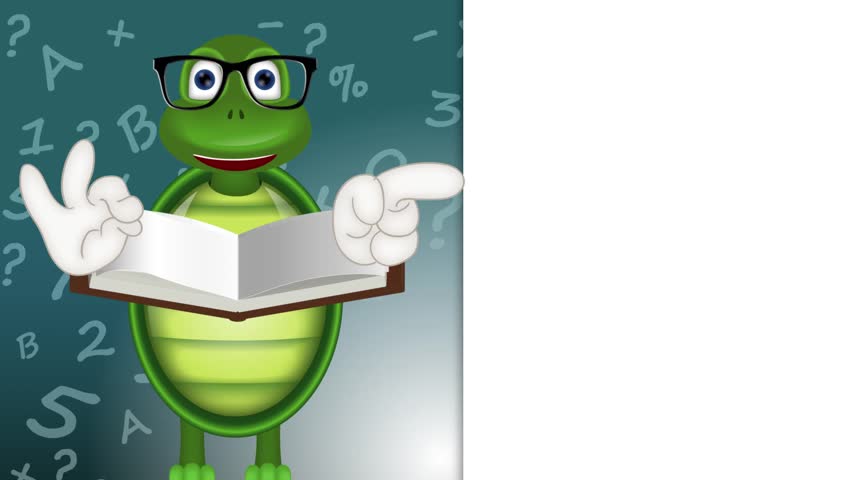 turtle teacher pupil learning school preschool Stock Footage Video (100 ...