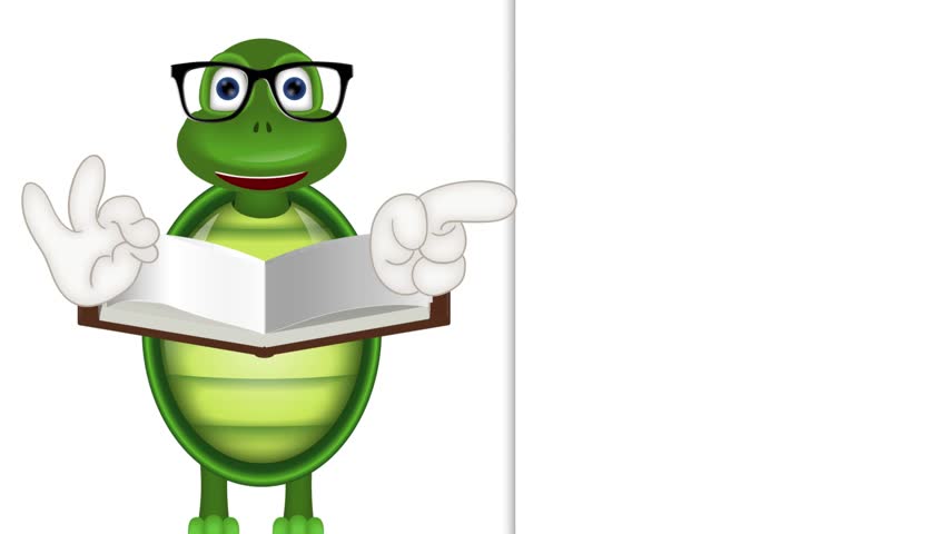 turtle teacher pupil learning school preschool Stock Footage Video (100 ...