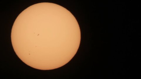 Picture Adult Ascaris Lumbricoides Taken Under Stock Photo (Edit Now ...