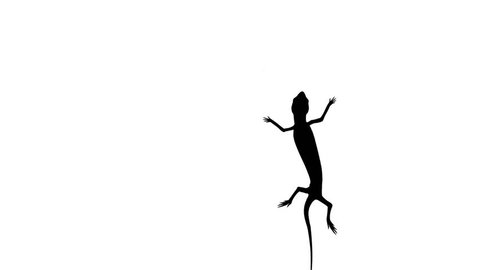 Animation Crawling Lizard Silhouette Squashed By Stock Footage Video ...