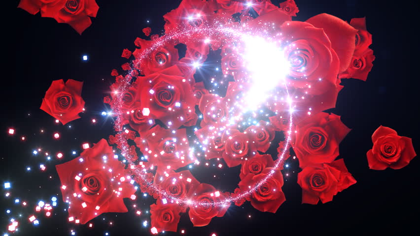 colorful sparkling rose Stock Footage Video (100% Royalty-free) 984556 ...