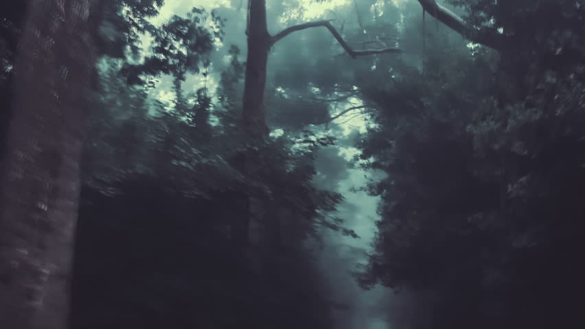 Long Camera Track Through a Stock Footage Video (100% Royalty-free ...
