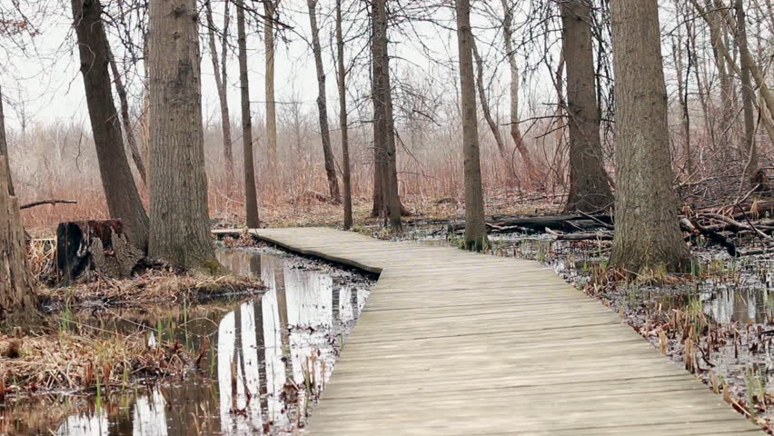 Walkway across the Marsh image - Free stock photo - Public Domain photo ...