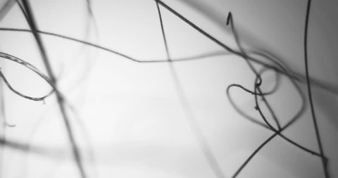 Human Hair Dust Particles Seen Under Stock Footage Video (100% Royalty ...