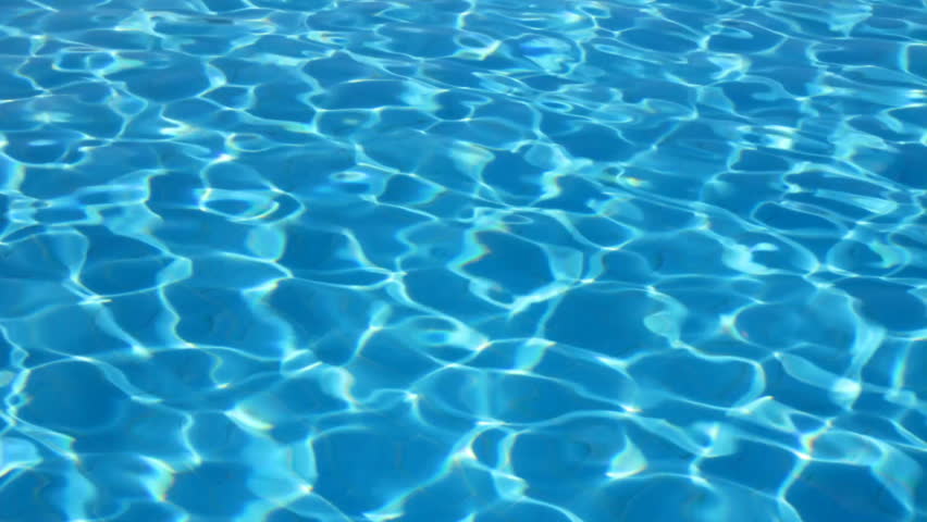 wonderful view playing celeste waters swimming Stock Footage Video (100 ...