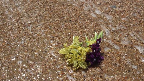 Spring Flowers Washed Away Beach Stock Footage Video (100% Royalty-free ...
