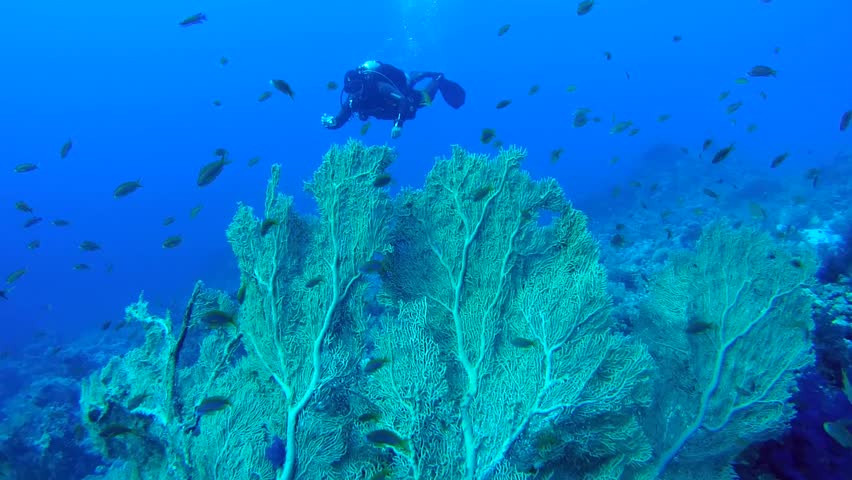 Red Sea, Strait of Gubal, Stock Footage Video (100% Royalty-free ...