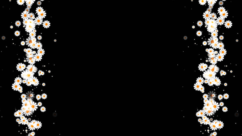 Flowers Frame, Particles On a Stock Footage Video (100% Royalty-free ...