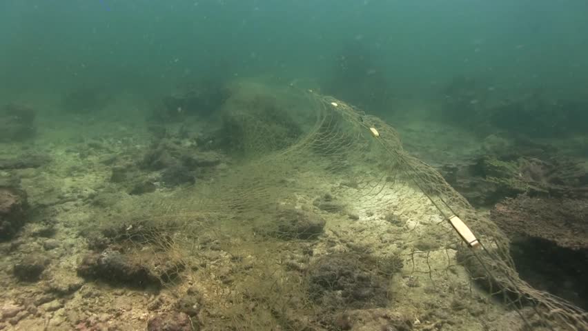 Fishing Net Over Coral Reef Stock Footage Video (100% Royalty-free ...