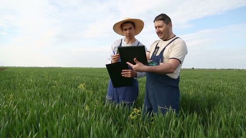 Two Farmers Talking Working On Wheat Stock Footage Video (100% Royalty ...